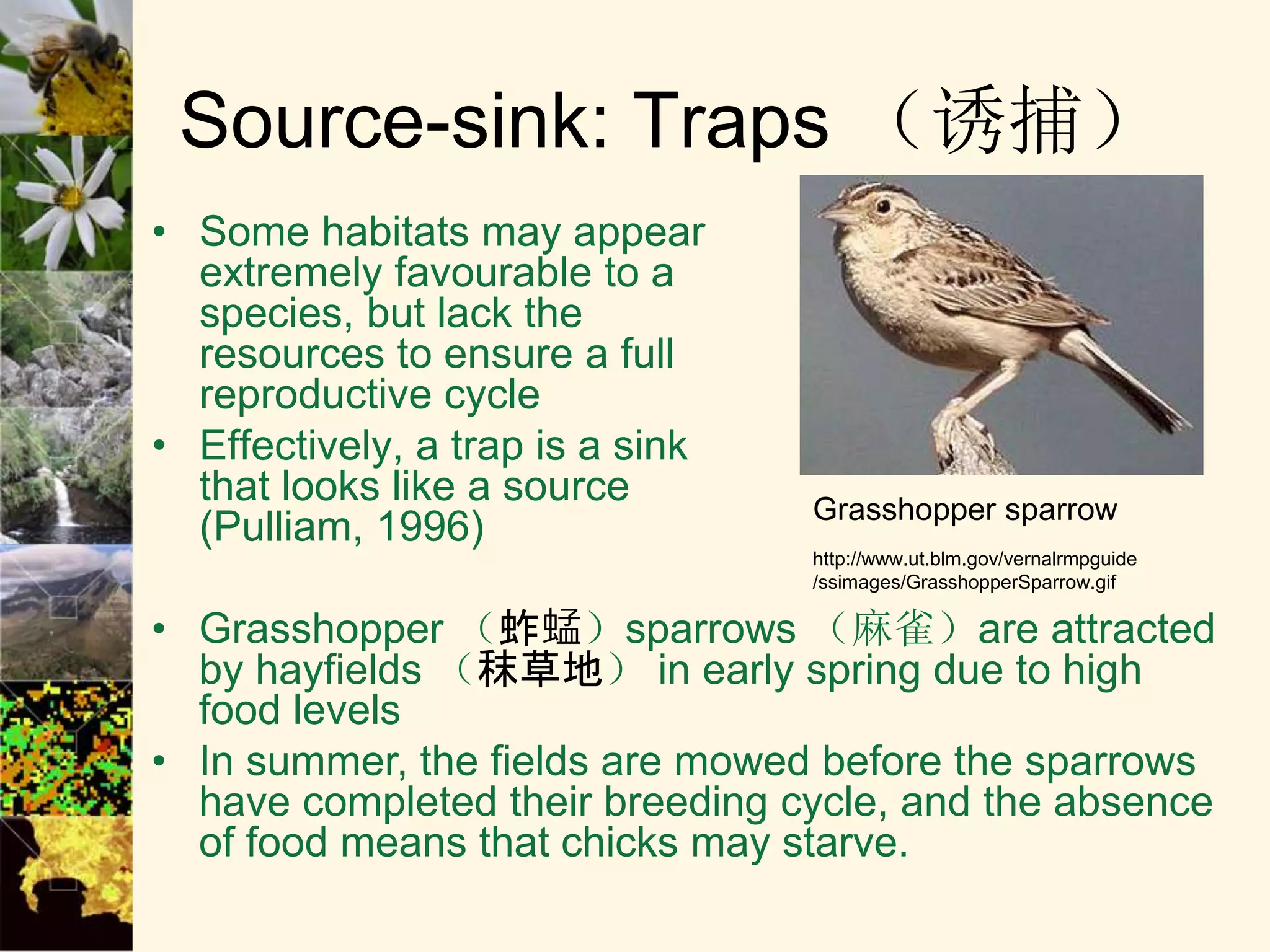 Chapter4Landscape Theory.pptx