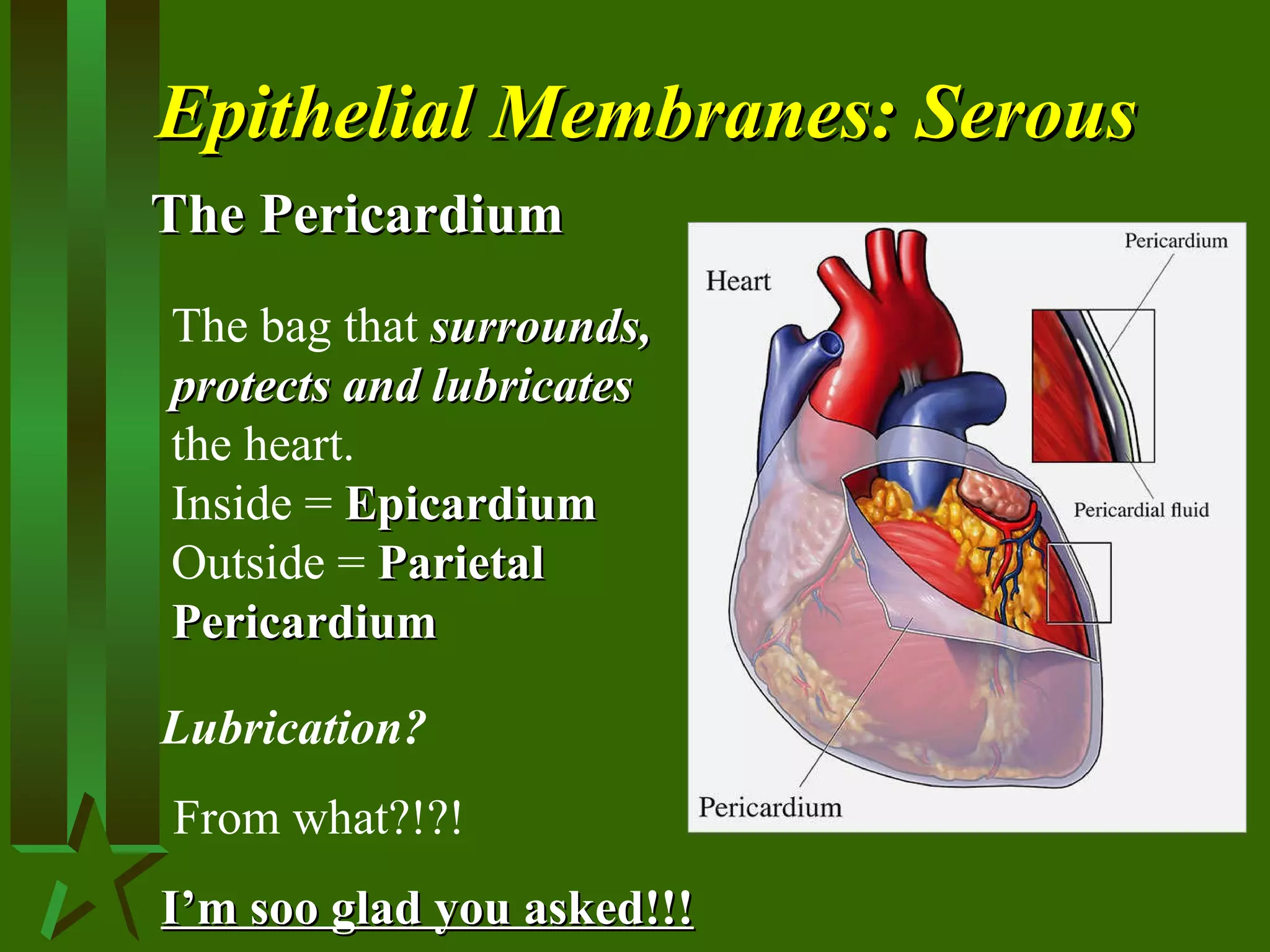 Chapter 4 lecture 1 untouched | PPT