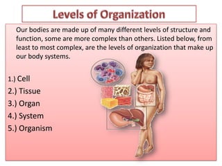Chapter 4 lecture notes | PPTX