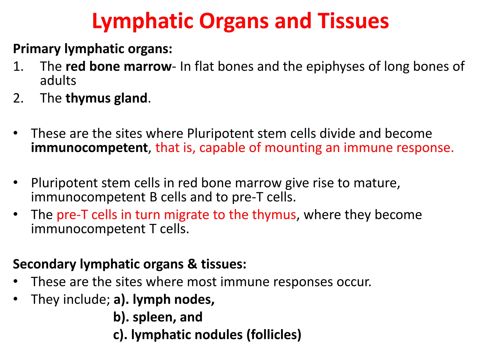 Lymphatic System.pptx