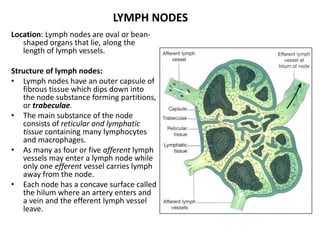 Lymphatic System.pptx