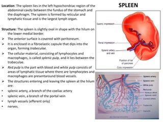Lymphatic System.pptx