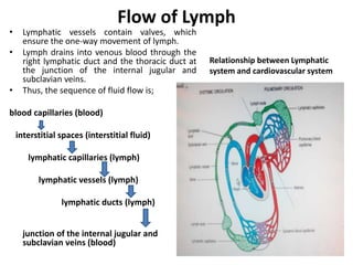 Lymphatic System.pptx