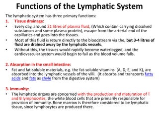 Lymphatic System.pptx