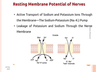 chapter 4 Membrane action potential.ppt