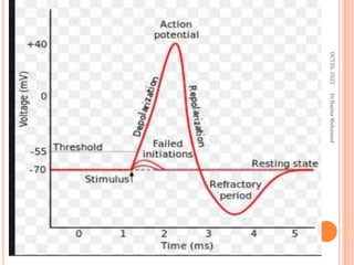 chapter 4 Membrane action potential.ppt