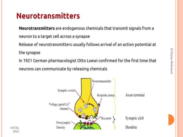 chapter 4 Membrane action potential.ppt