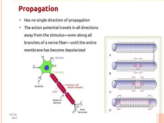 chapter 4 Membrane action potential.ppt