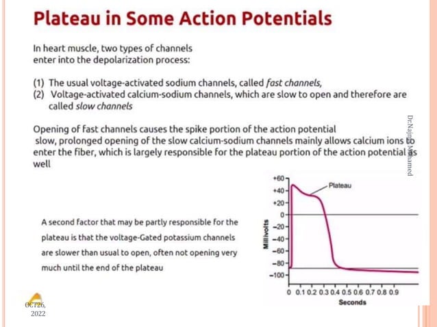 chapter 4 Membrane action potential.ppt