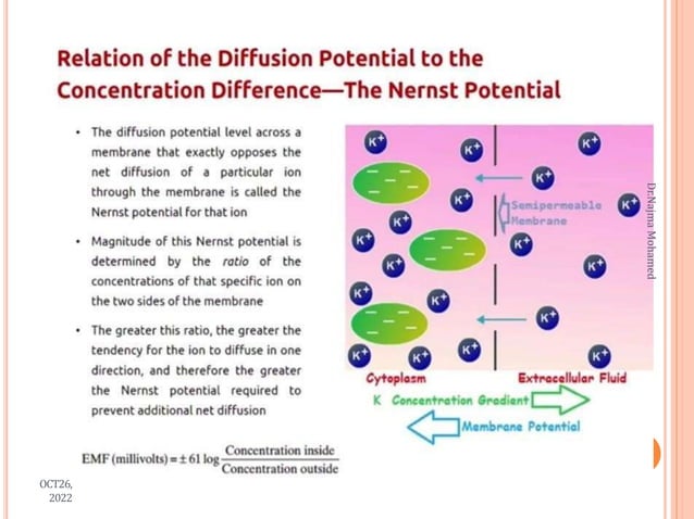 chapter 4 Membrane action potential.ppt
