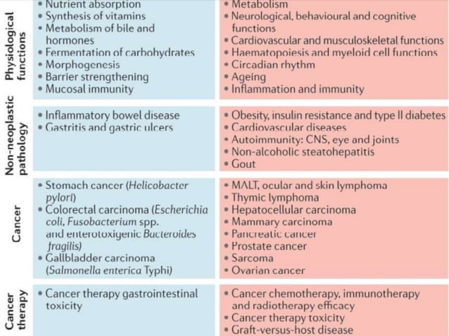 Chapter 4 microbiome and cancer | PPTX | Cancer | Diseases and Conditions