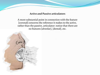 Chapter4 natural classes of sounds distinctive features | PPTX