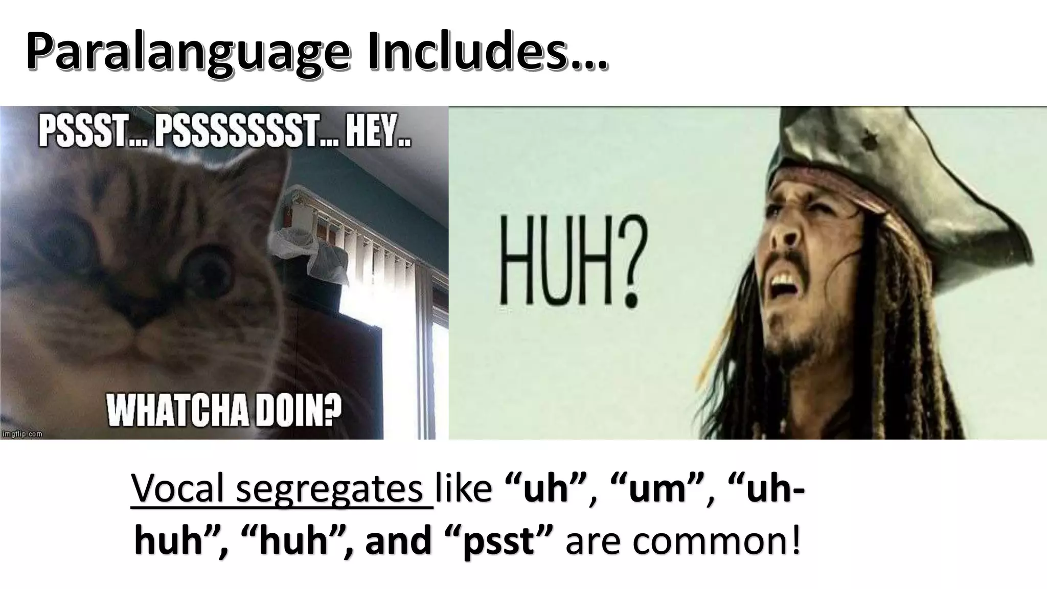 Chapter 4: Nonverbal Communication (Paralanguage and Silence) By ...