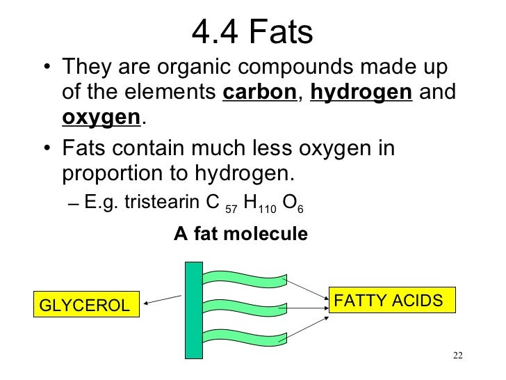 Chapter 4 nutrition 2011