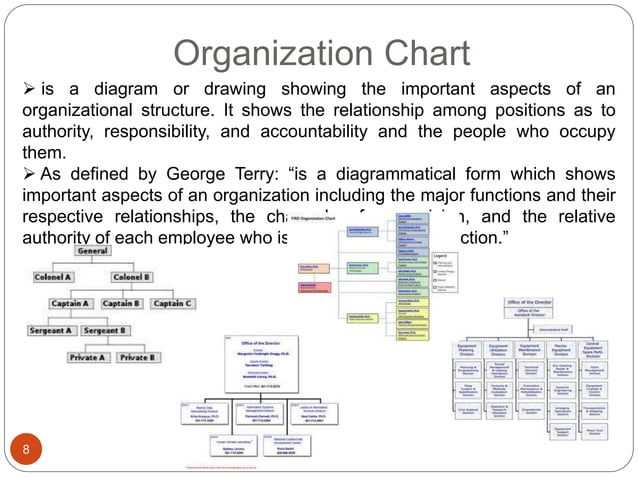 Principles of Management Chapter 4 Organizing | PPTX