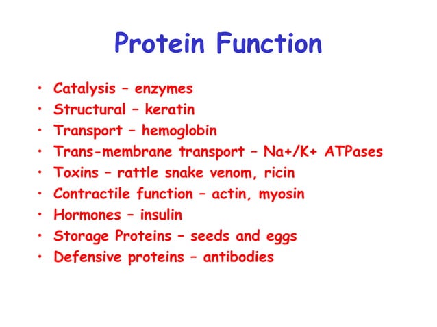 Chapter 4 (part 1) protein structure introduction- 2nd structure | PPT
