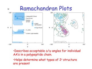 Chapter 4 (part 1) protein structure introduction- 2nd structure | PPT