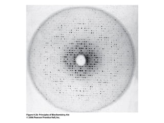 Chapter 4 (part 1) protein structure introduction- 2nd structure | PPT