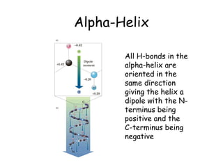 Alpha Helix Dipole