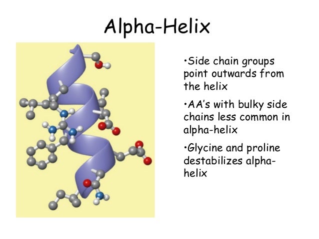 Chapter 4 (part 1) protein structure introduction- 2nd structure