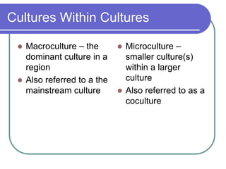 Chapter 4 Part 1 Cst229 | PPT