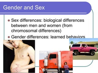 Chapter 4 Part 1 Cst229 | PPT