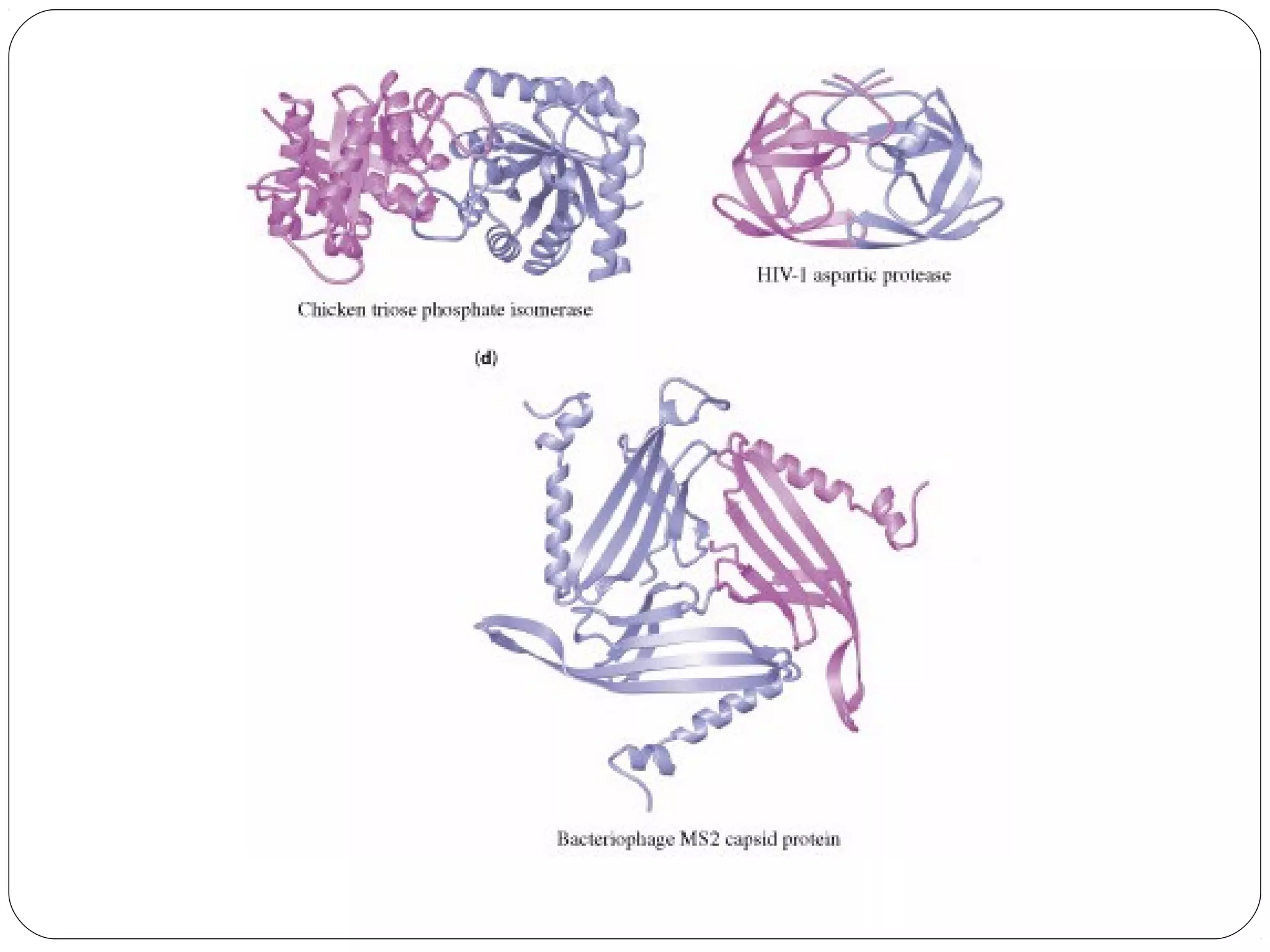 4D STRUCTURE OF PROTEINS | PPT