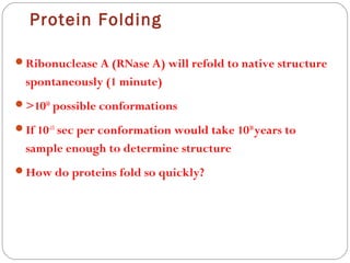 4D STRUCTURE OF PROTEINS | PPT