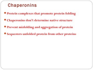 4D STRUCTURE OF PROTEINS | PPT