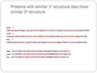 4D STRUCTURE OF PROTEINS | PPT
