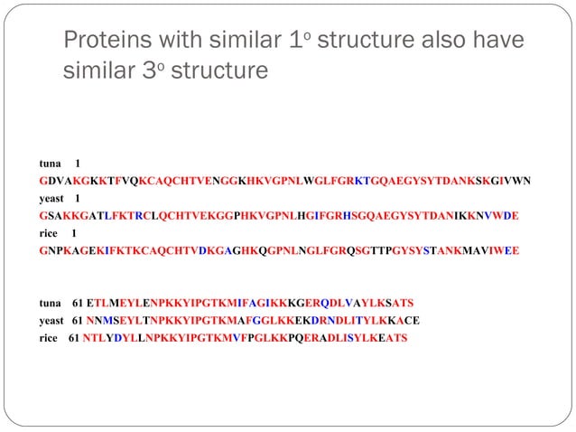 4D STRUCTURE OF PROTEINS | PPT | Chemistry | Science