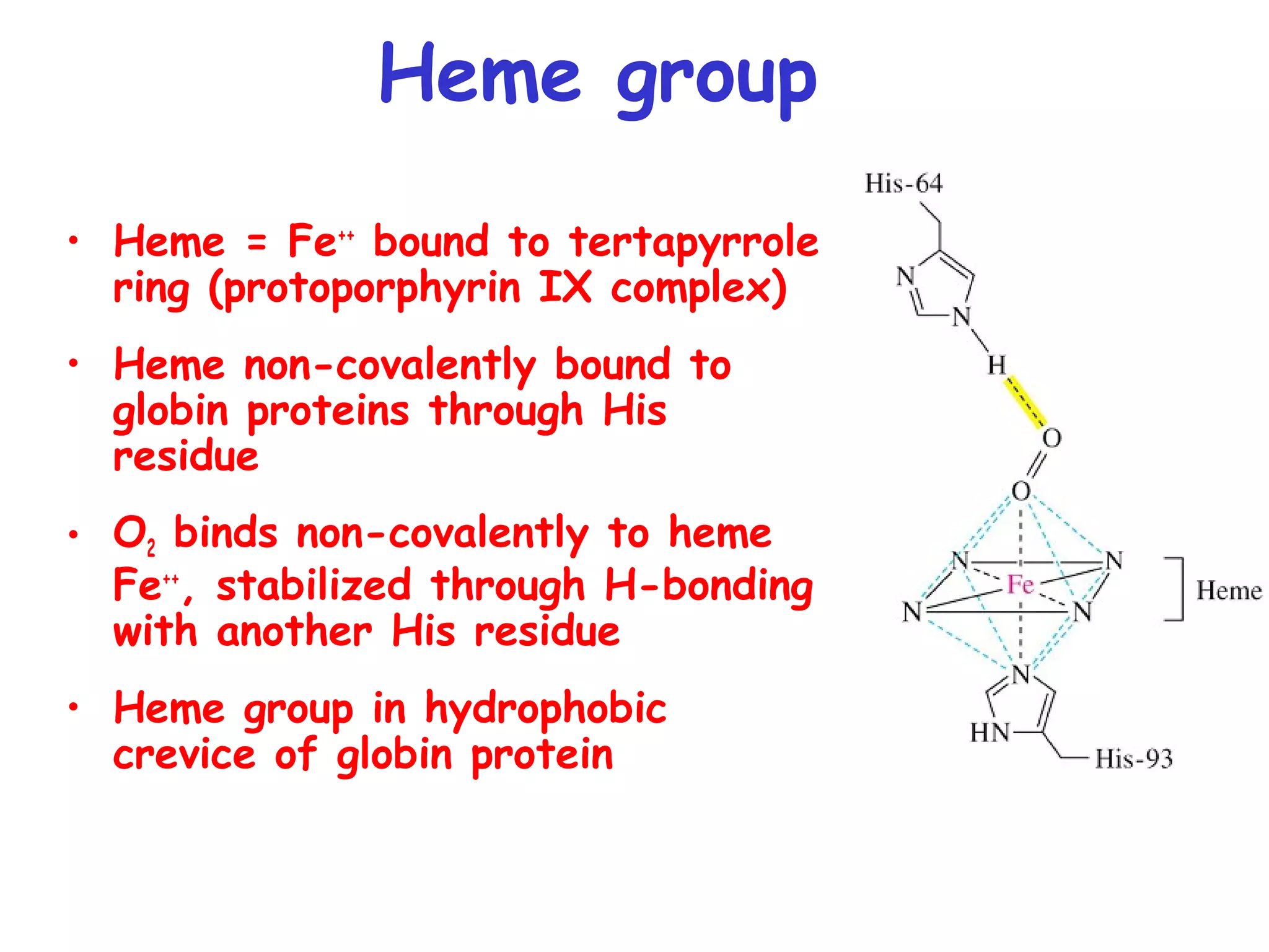 Chapter 4 (part 3) protein 3-d structure- structure function | PPT