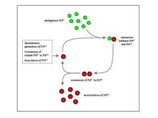Chapter 4 (part 3) protein 3-d structure- structure function | PPT
