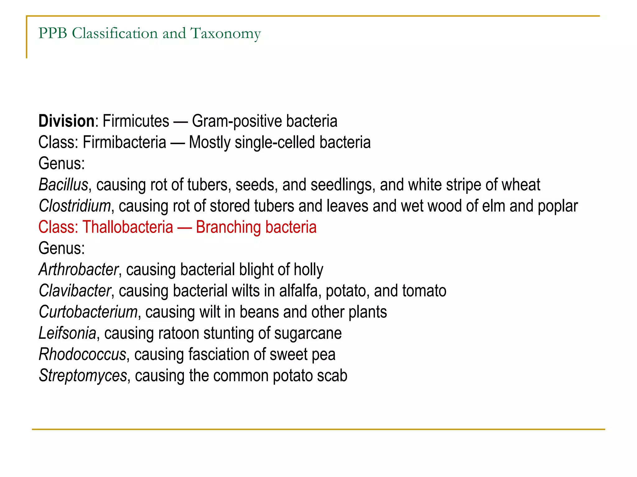 Chapter_ 4 Plant pathogenic Bacteria_taxonomy.ppt