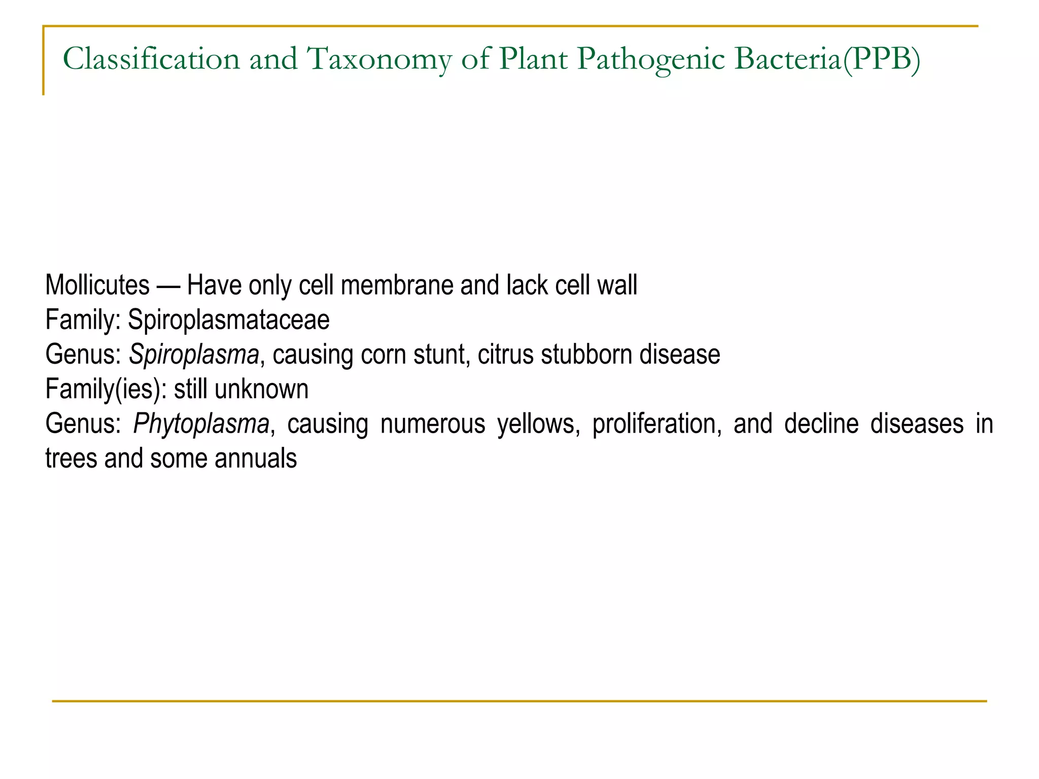 Chapter_ 4 Plant pathogenic Bacteria_taxonomy.ppt