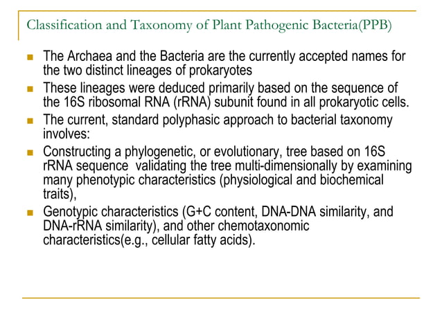 Chapter_ 4 Plant pathogenic Bacteria_taxonomy.ppt | Gardening | Home ...