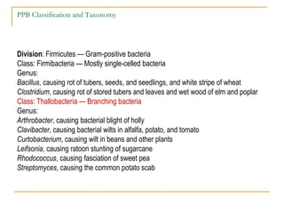 Chapter_ 4 Plant pathogenic Bacteria_taxonomy.ppt