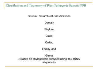 Chapter_ 4 Plant pathogenic Bacteria_taxonomy.ppt