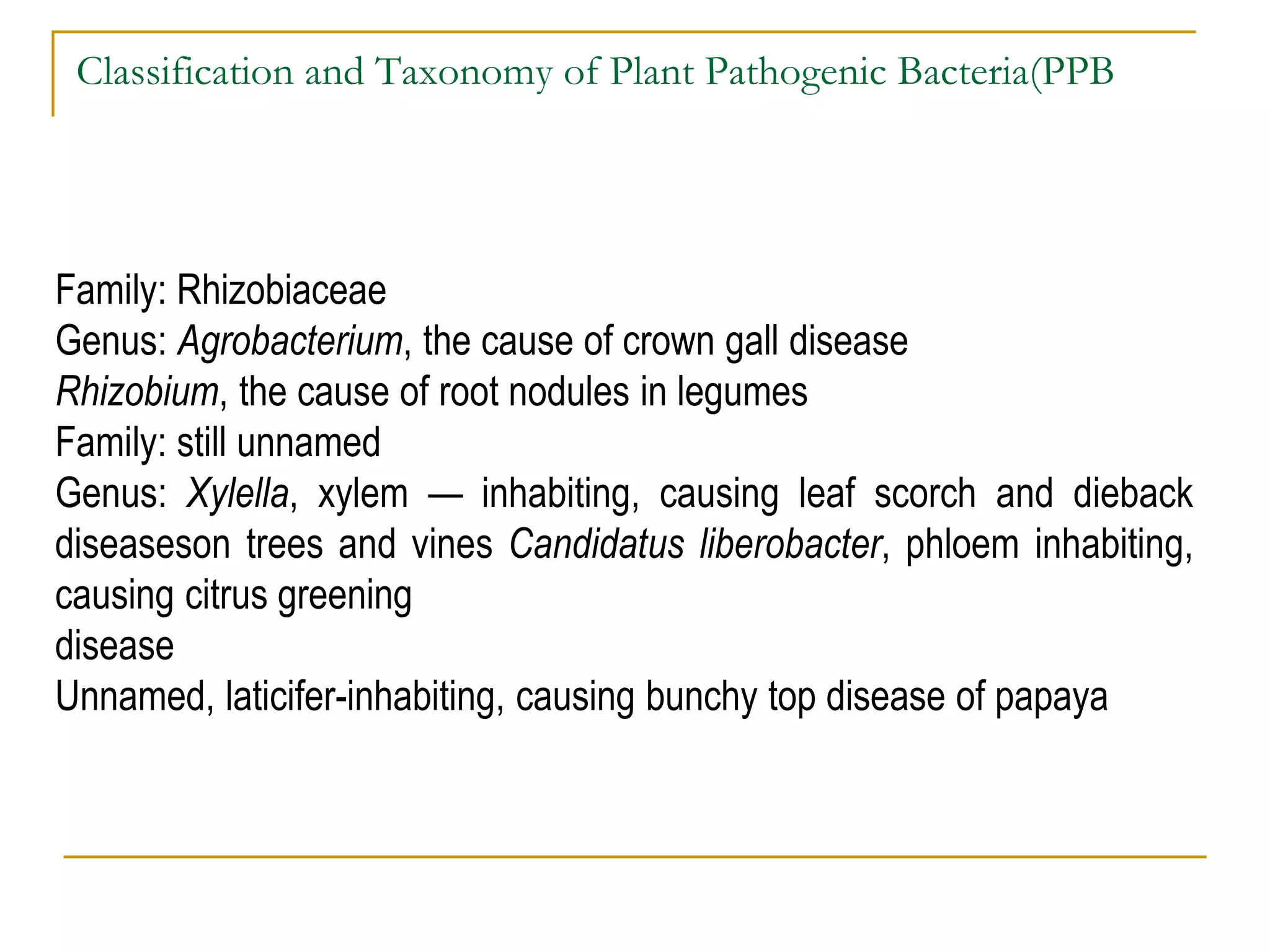 Chapter_ 4 Plant pathogenic Bacteria_taxonomy.ppt