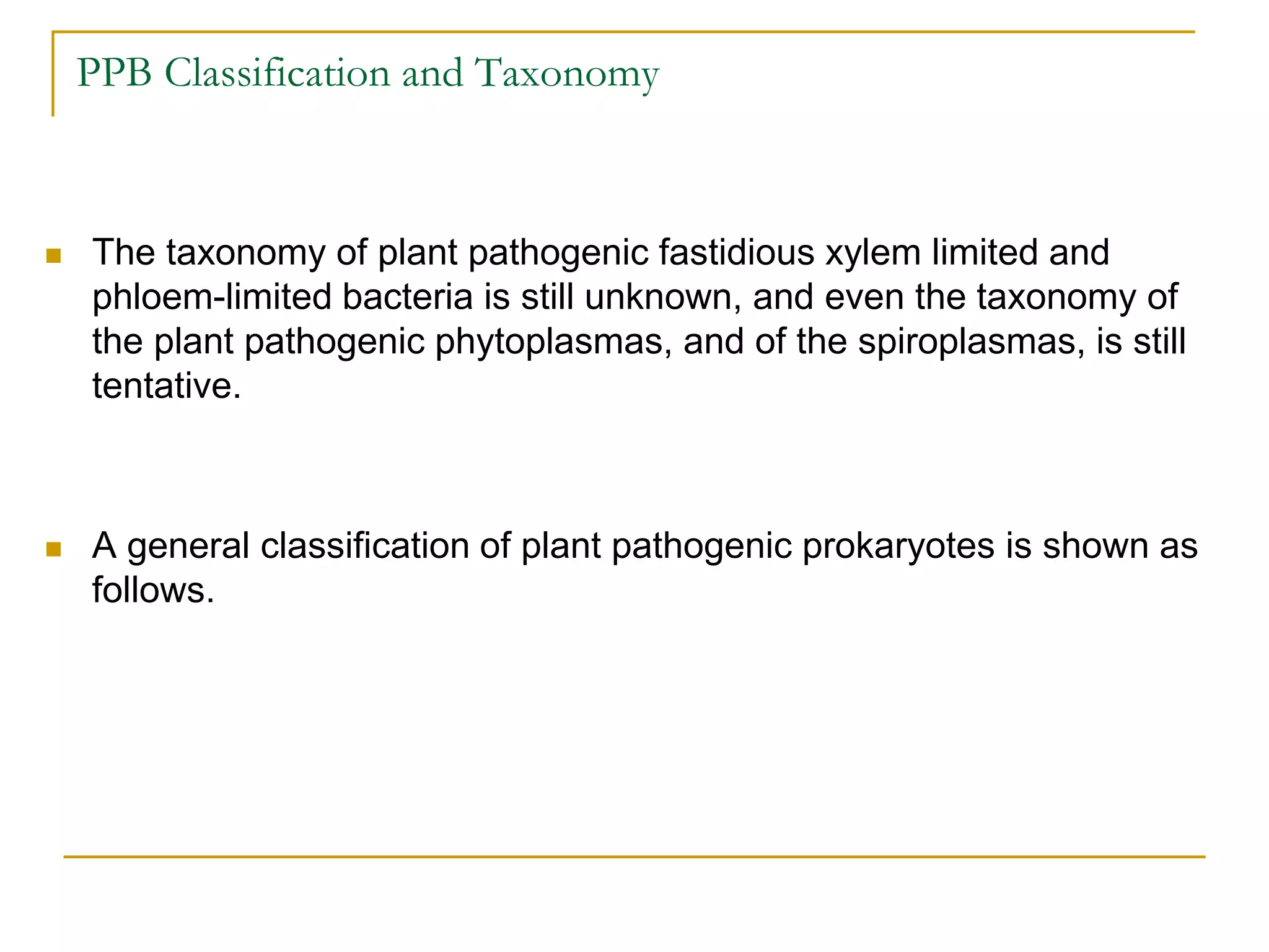 Chapter_ 4 Plant pathogenic Bacteria_taxonomy.ppt