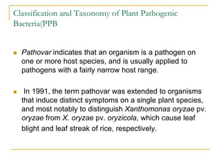 Chapter_ 4 Plant pathogenic Bacteria_taxonomy.ppt