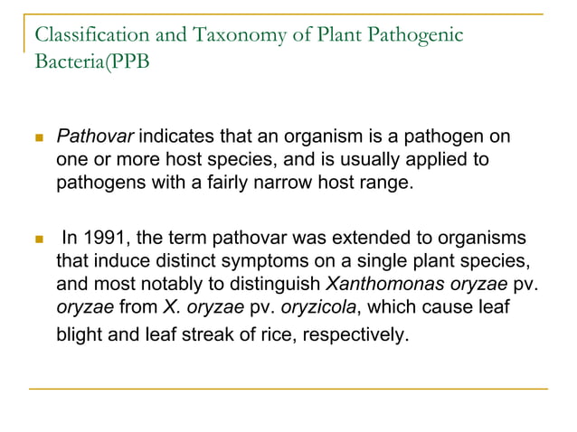Chapter_ 4 Plant pathogenic Bacteria_taxonomy.ppt