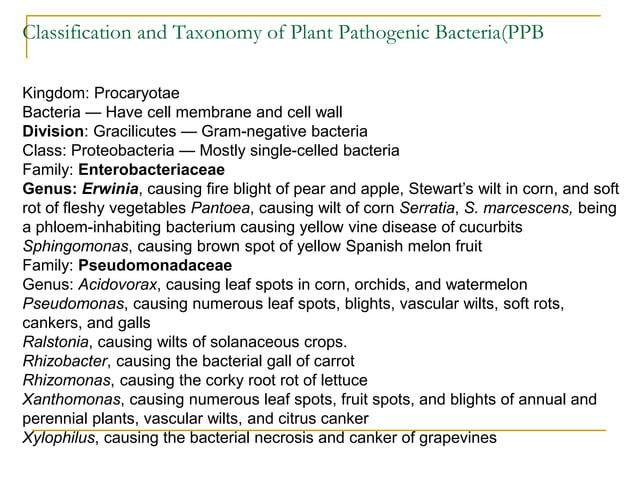 Chapter_ 4 Plant pathogenic Bacteria_taxonomy.ppt