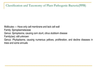 Chapter_ 4 Plant pathogenic Bacteria_taxonomy.ppt