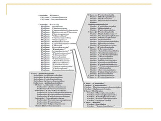 Chapter_ 4 Plant pathogenic Bacteria_taxonomy.ppt