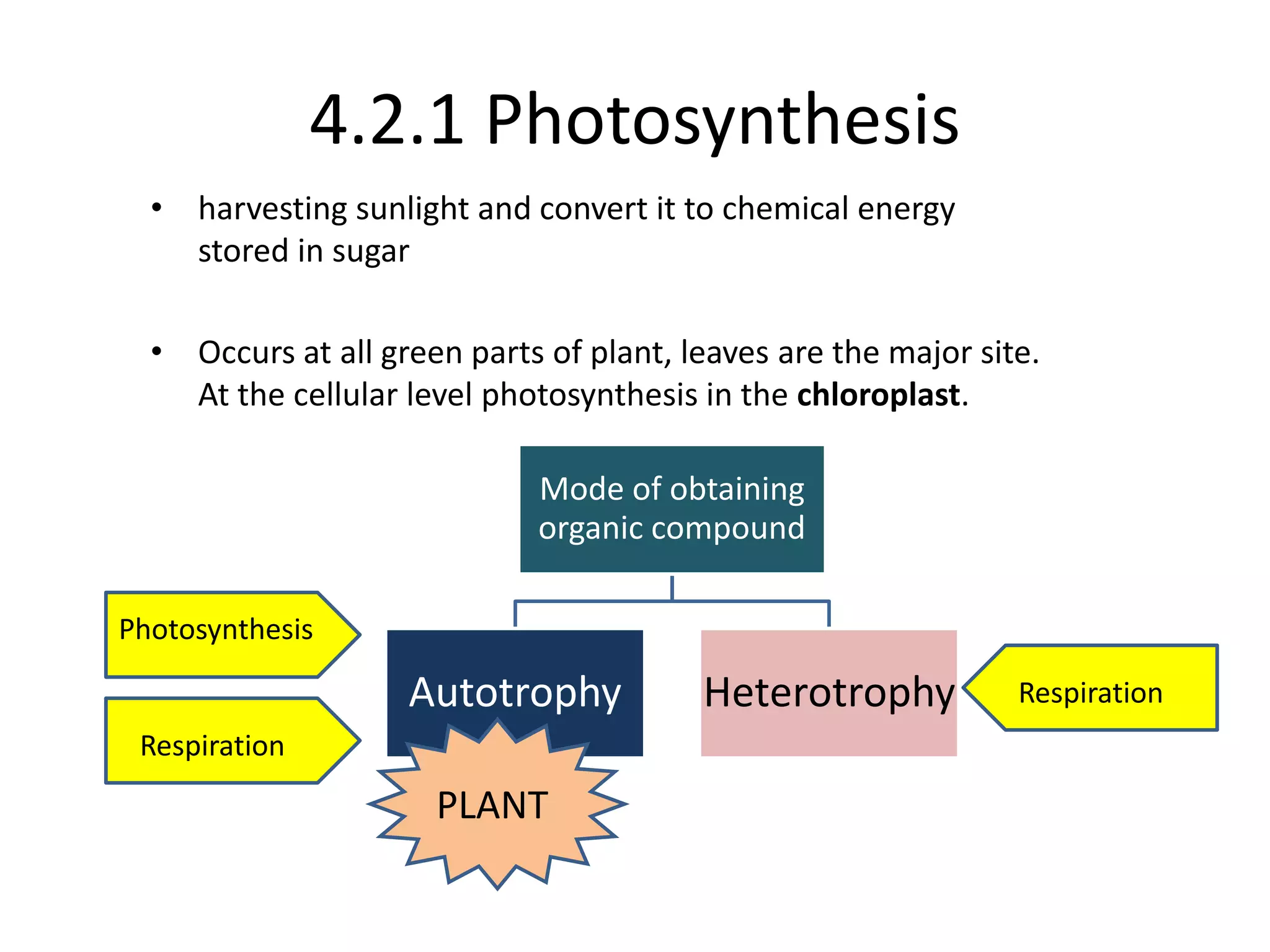 Plant physiology and Development | PPTX