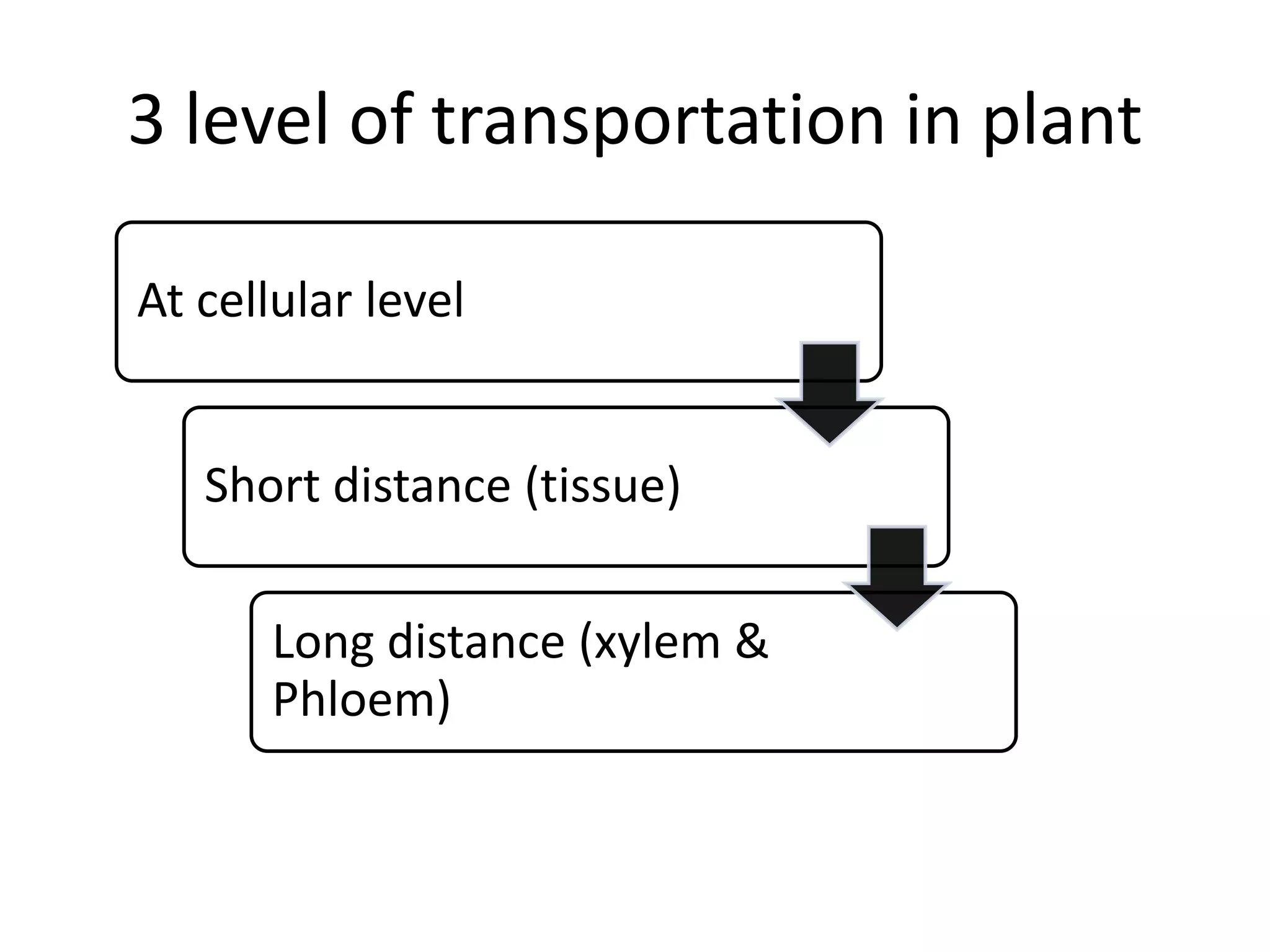 Plant physiology and Development | PPTX