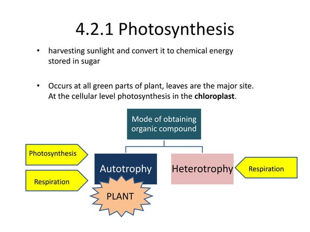 Plant physiology and Development | PPTX
