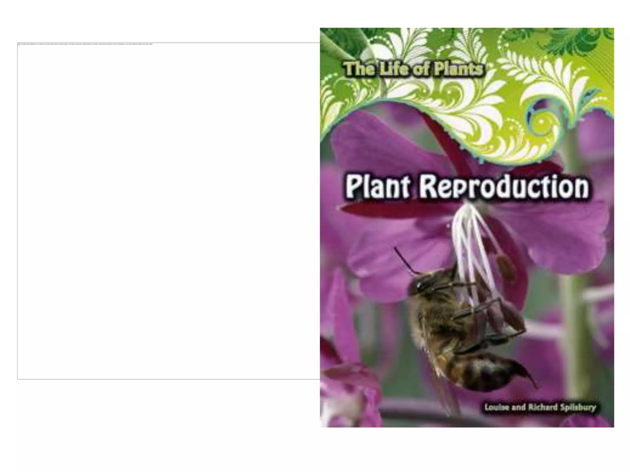 PMR Form 3 Science Chapter 4 Plant Reproduction | PPTX