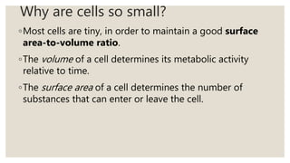 Chapter 4 powerpoint | PPTX